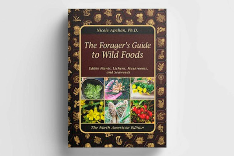 Forager’s Guide to Wild Foods Review (Dr. Nicole Apelian) Is It Legit ...