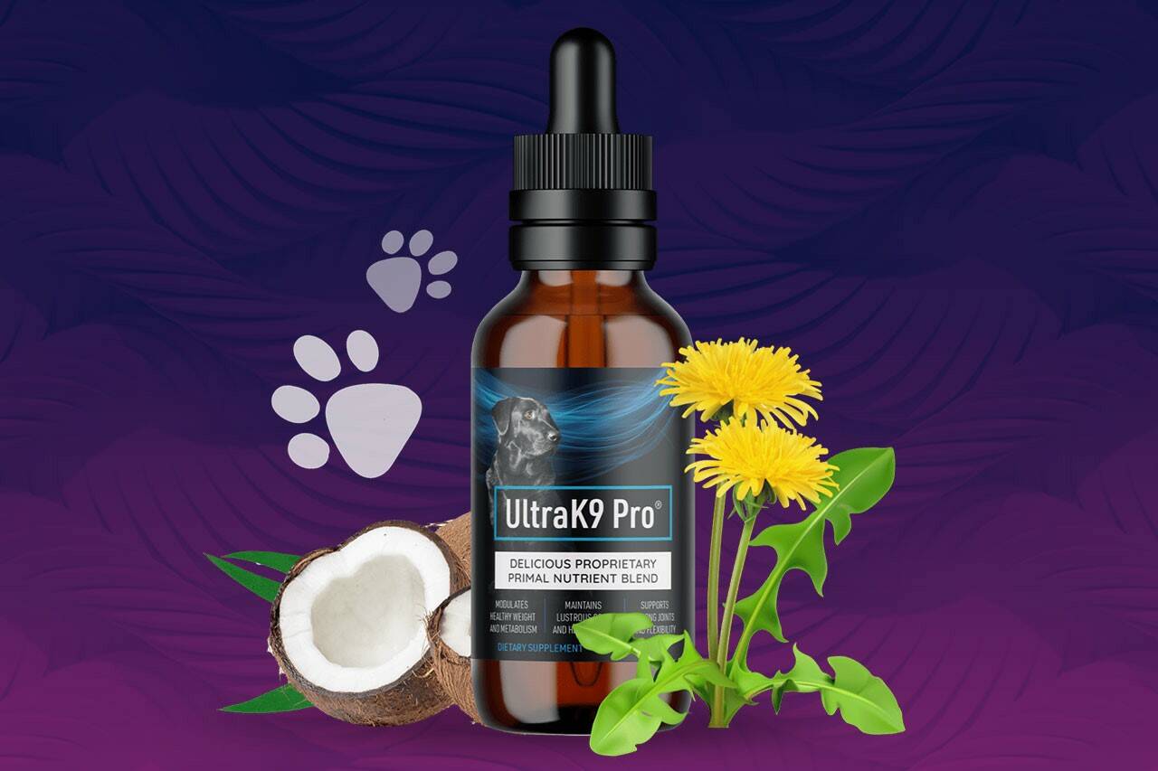 UltraK9 Pro Reviewed [Updated] Is It Right For Your Dog? | Tacoma Daily ...