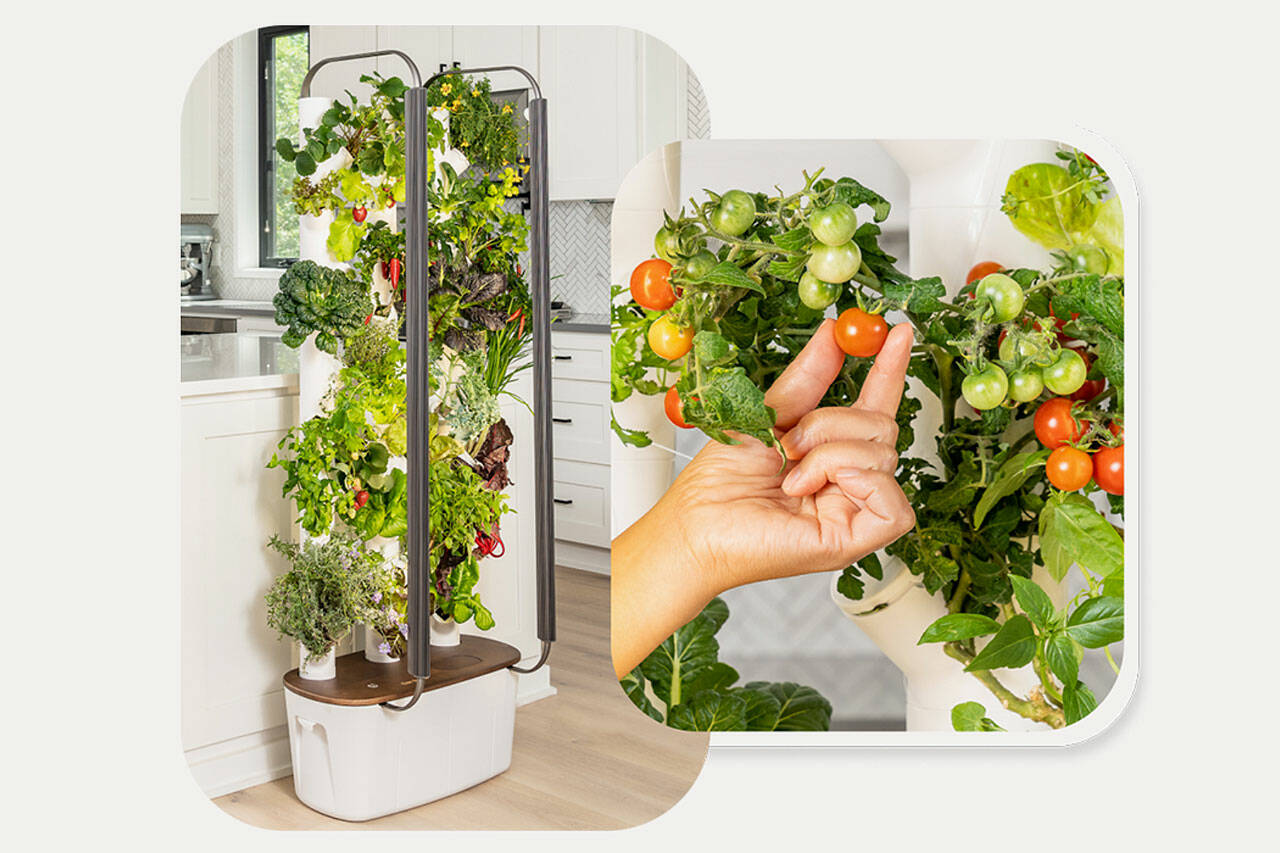 Gardyn Reviews - Effective At-Home Vertical Indoor Gardening Planting ...