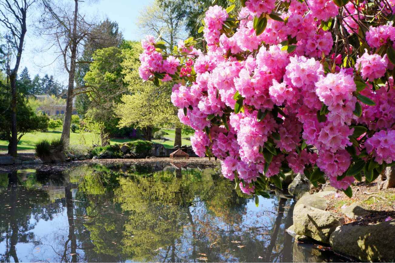 Brutal, cowardly attack stains a beloved park | Tacoma Daily Index